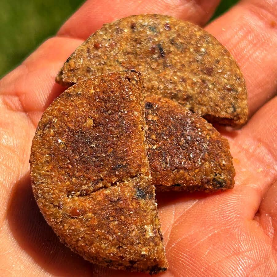 Buff Cake Barkery – Your Favorite Dog Bakery for Custom Treats