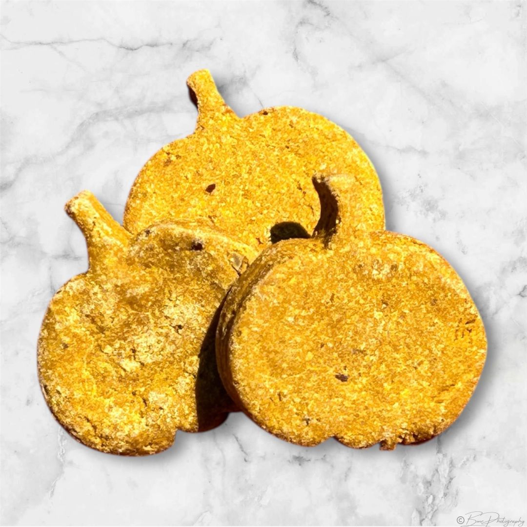 Buff Cake Barkery – Your Favorite Dog Bakery for Custom Treats