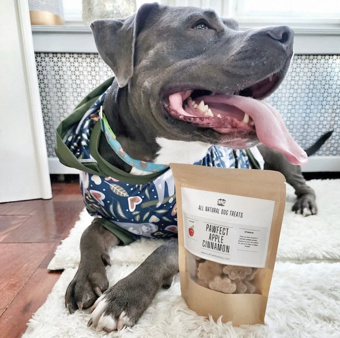Buff Cake Barkery – Your Favorite Dog Bakery for Custom Treats