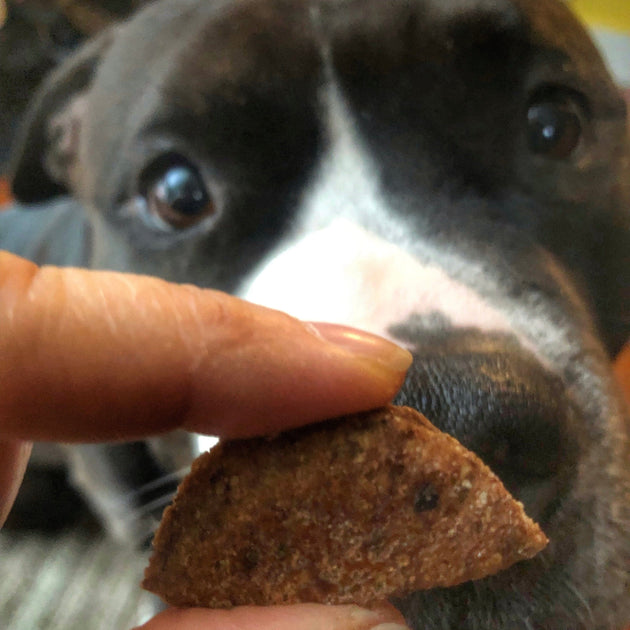 Barkin BB Crunch – Buff Cake Barkery